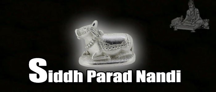 Parad nandi, buy Parad nandi, online Parad nandi, Parad nandi benefits